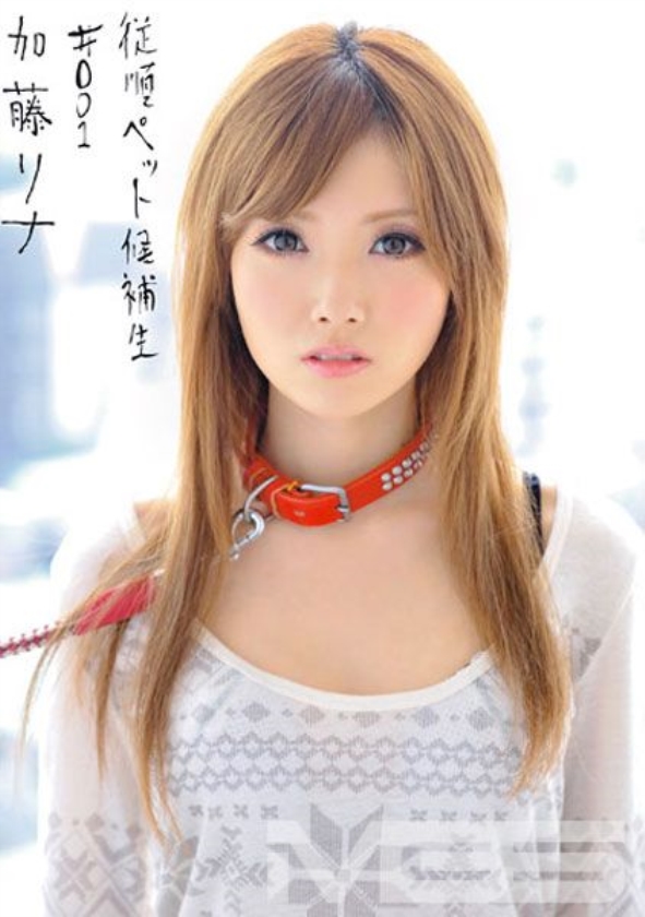 「プレステージマニアも認めたマジでレベチな美女“加藤リナ“全歴史35作品 コンプリートbox合計：2980分」：エロ動画・アダルトビデオ 3687